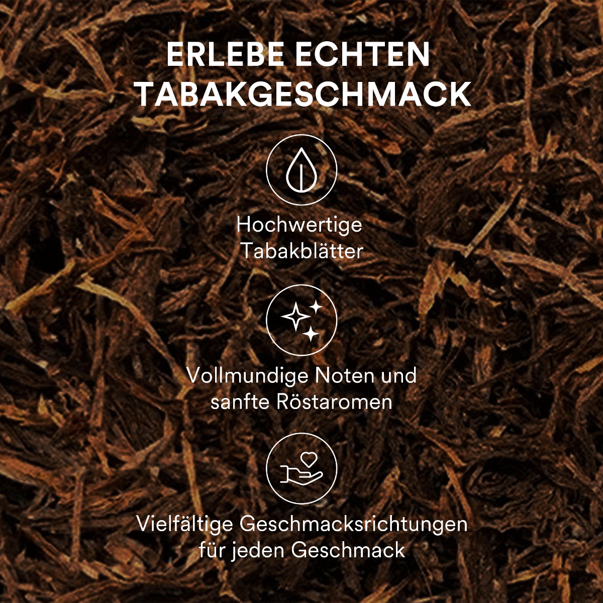 EVO Azure Heated Tobacco Sticks (Stange) kaufen | Ploom Schweiz